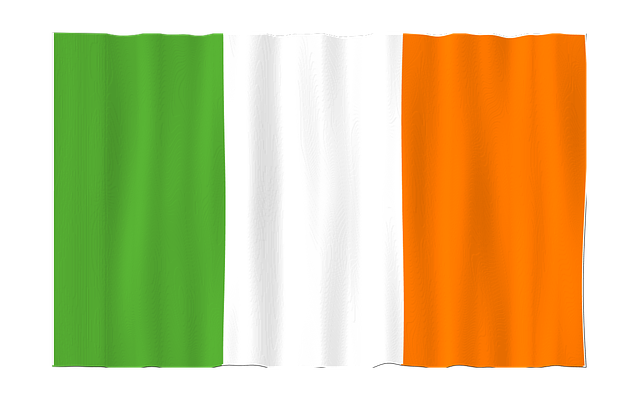 Learn Foreign Language Skills French,German,Spanish, Irish, Italian ...