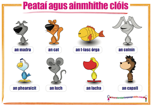 Learn Foreign Language Skills Peataí agus ainmhithe clóis