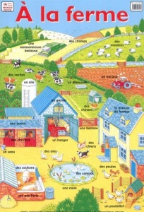 Learn Foreign Language Skills French,German,Spanish, Irish, Italian ...